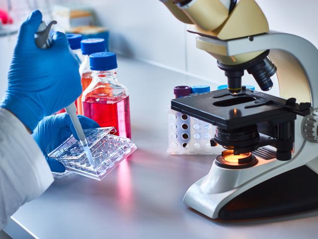 NON-COMMUNICABLE DISEASES | Institute of Infectious Disease and ...